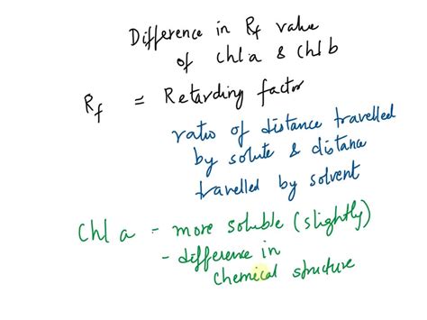 Solved Why Do Chlorophyll A And Chlorophyll B Have Different Rf Values