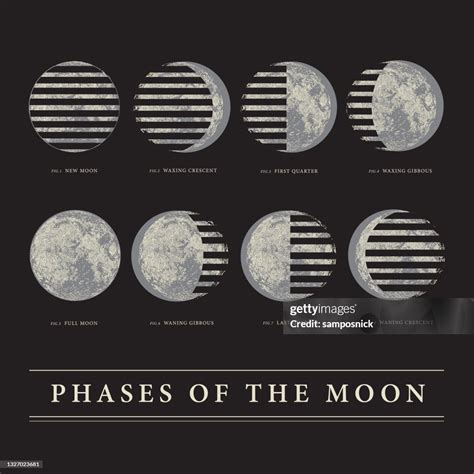 Chart Of The Moons Lunar Phases High Res Vector Graphic Getty Images