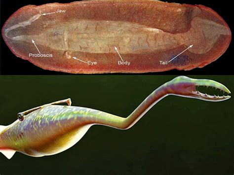 Paleontology News For August 2025 Scienceandsf A Blog Published By