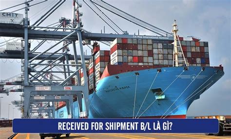 Received For Shipment Bill Of Lading Bl Vận Đơn Nhận Hàng Để Xếp