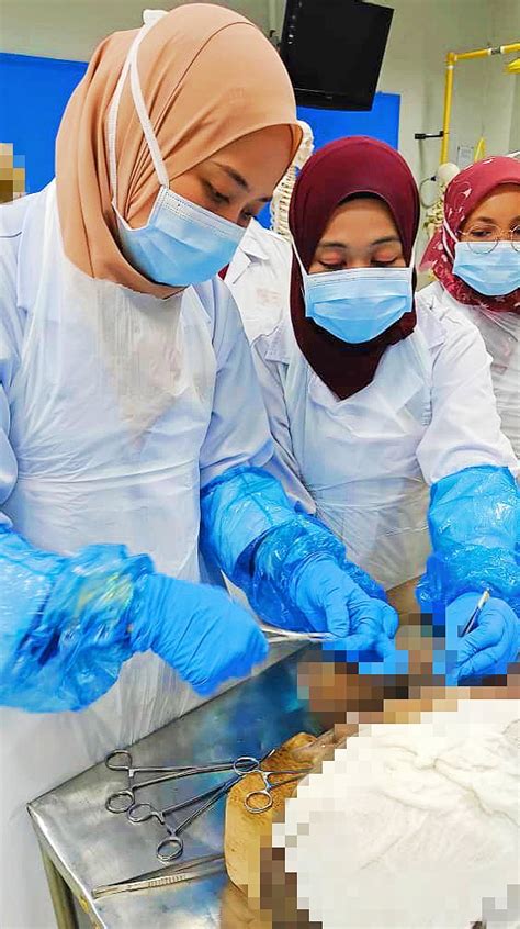 Disecction Service Jabatan Anatomi Fakulti Perubatan