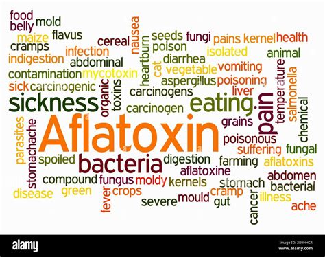 Infection Aflatoxin Cut Out Stock Images And Pictures Alamy
