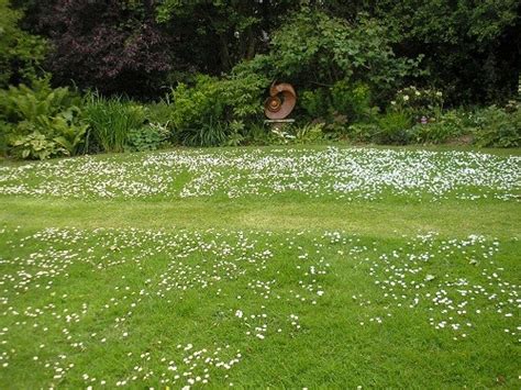 Cutting Shapes In The Grass Lead Up The Garden Path