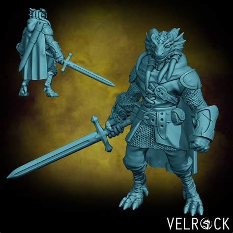 Novice Dragonborn Paladin Velrock 3d Printed Resin Miniature Mini
