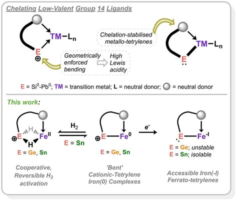 Cationic Tetrylene‐iron0 Complexes Access Points For Cooperative