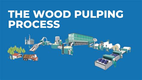 The Wood Pulping Process A Comprehensive Guide