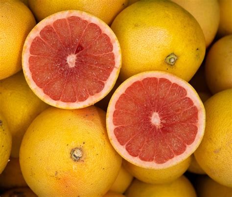 Pompelmo Rosa Star Ruby Caratteristiche E Proprietà