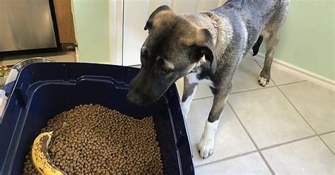 Sif And Cleocatra Album On Imgur