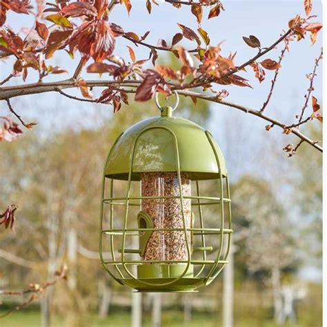 Acorn Squirrel Proof Seed Feeder Chapelwood The Birds Bistro