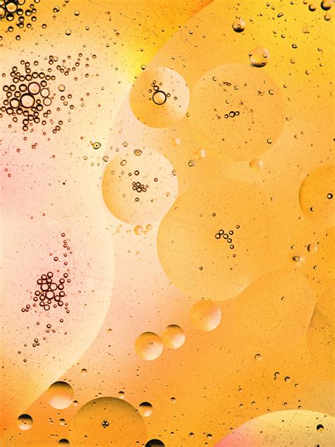 Jody Asano X Dichen Chen Di Chen Chen