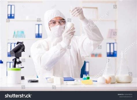 Wheat Flour Lab Testing Service At ₹ 2000sample In New Delhi