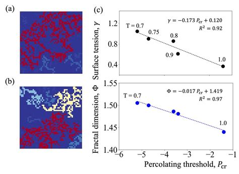 Color Online Percolation Network At A Random Instant At Temperature