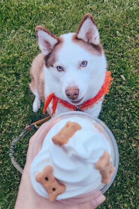 My Beautiful Girl R Husky