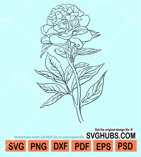 Single Stem Peony Clipart Svg Peony Svg Peony Flower Svg Peony