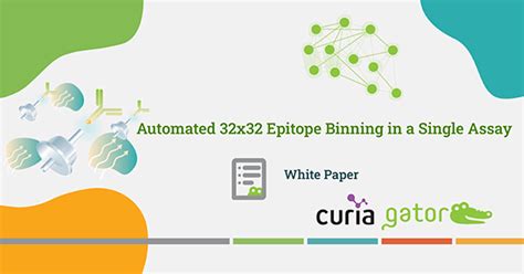 Automated 32x32 Epitope Binning In A Single Assay
