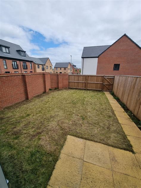 Help Reviving Grass Rgardening