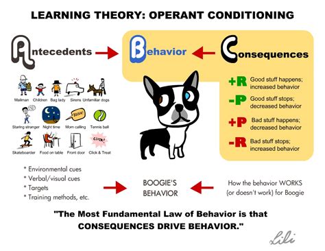 Operant Conditioning Examples Alisen Berde
