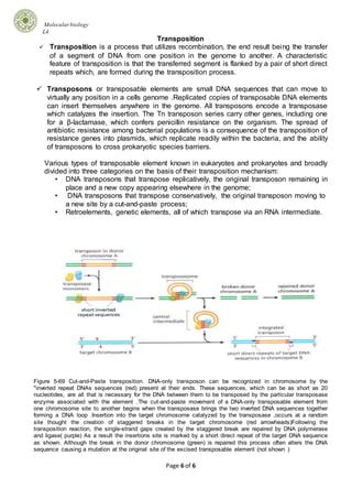 Mutation Recombination And Transposition Doc