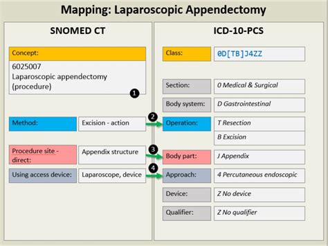 Leveraging Lexical Matching And Ontological Alignment To Map Snomed Ct Surgical Procedures To