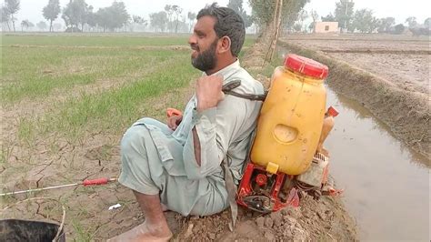 گندم کی جڑی بوٹی سپرے Youtube