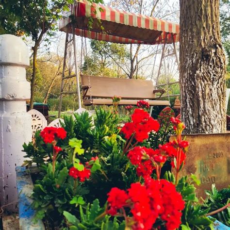 Rohit K Posted On Linkedin