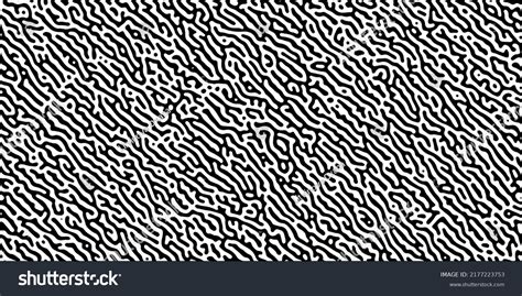 Turing Reaction Diffusion Black White Seamless Stock Vector Royalty Free 2177223753 Shutterstock