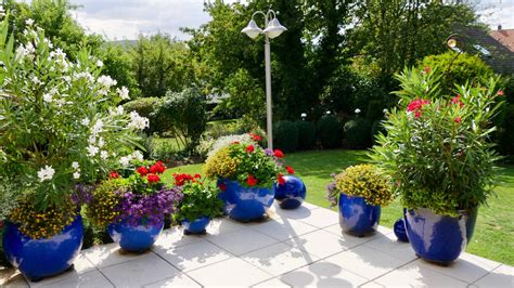 Beet Und Balkon