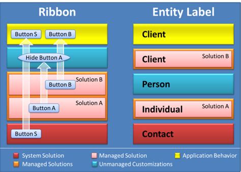Introduction To Solutions Developer Guide For Dynamics 365 Customer