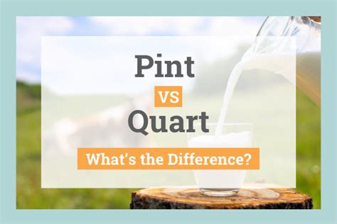 Pint Vs Quart Whats The Difference