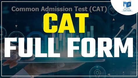 What Is The Full Form Of Cat Ht Expert Explains About Cat