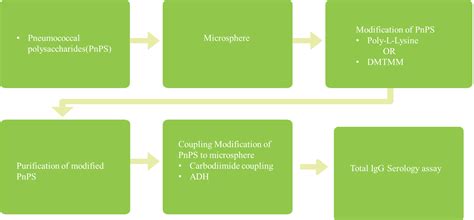Microsphere Based Multiplexing For The Detection Of Serotype Specific