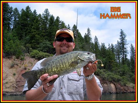 Big Hammer Lures Dont Get Bit Get Hammerd