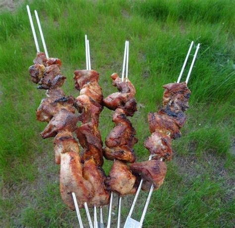 Premium Photo Roasted Pieces Of Meat On Skewers Over Green Grass Background