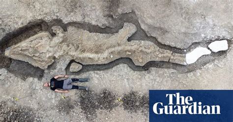 Kim Sorsky Posted On Linkedin