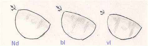 Venus Clouds From Sulfuric Acid Page 2 Sketching Cloudy Nights
