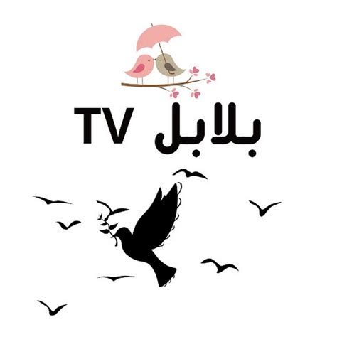 بلابل Tv Youtube