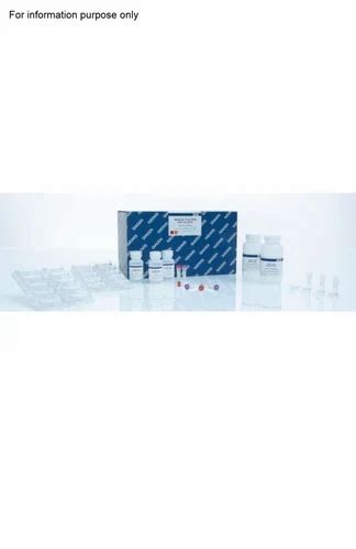 Qiagen Digene Hc2 High Risk Hpv Dna Test At ₹ 17000 In Pune Id