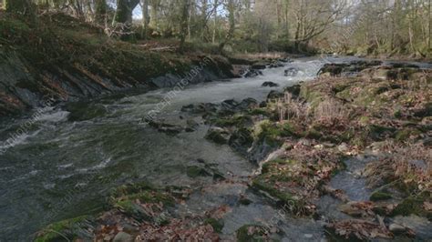 Afon Cothi Wales Uk Stock Video Clip K011 1292 Science Photo Library