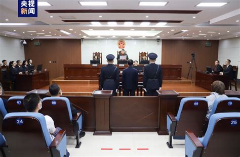 2名 孙力军政治团伙”成员同日被判！邓恢林获刑15年，龚道安被判无期