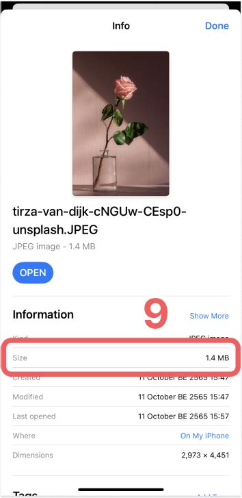 5 ways to view the size of a photo on iphone and ipad