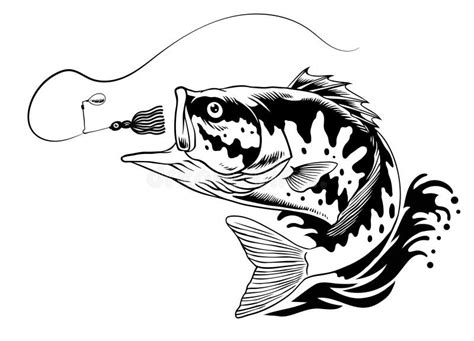 Largemouth Bass Fish Catching The Fishing Lure Isolated Stock Vector