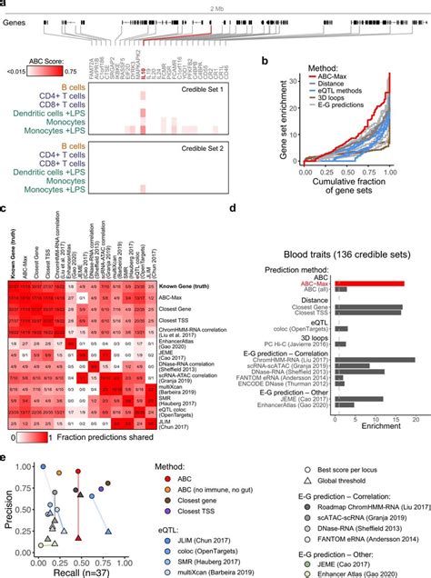 Abc Enhancer Maps Connect Gwas Variants To Known Genes A Abc Download Scientific Diagram