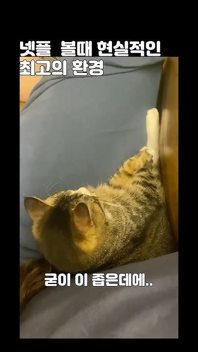 넷플릭스 볼때 현실적인 최고의 환경the Coziest Way To Watch Netflix 일상 행복 Happy