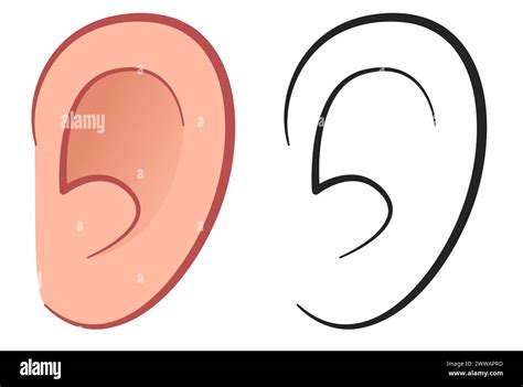 How To Draw Cartoon Human Ears