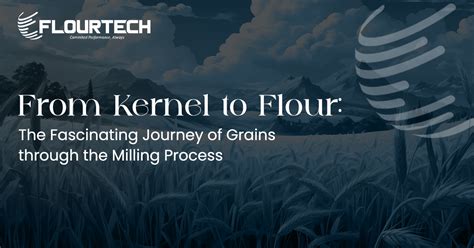 From Kernel To Flour The Fascinating Journey Of Grains Through The