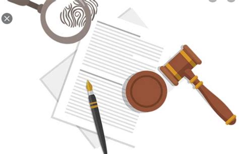 Etapas Del Procedimiento Administrativo De Ejecución Pae Timeline