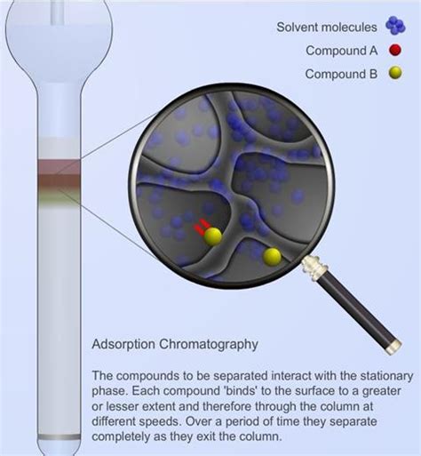 Chromatography Resource Rsc Education