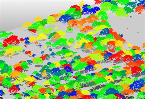 Classification Brain Mindtrace Website