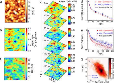 Ultrafast Infrared Nano Imaging Of Many Body Carrier Dynamics Afm Download Scientific Diagram