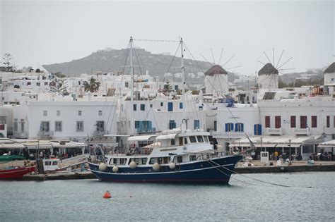 Sofia Star Sofia Star Shipfriends